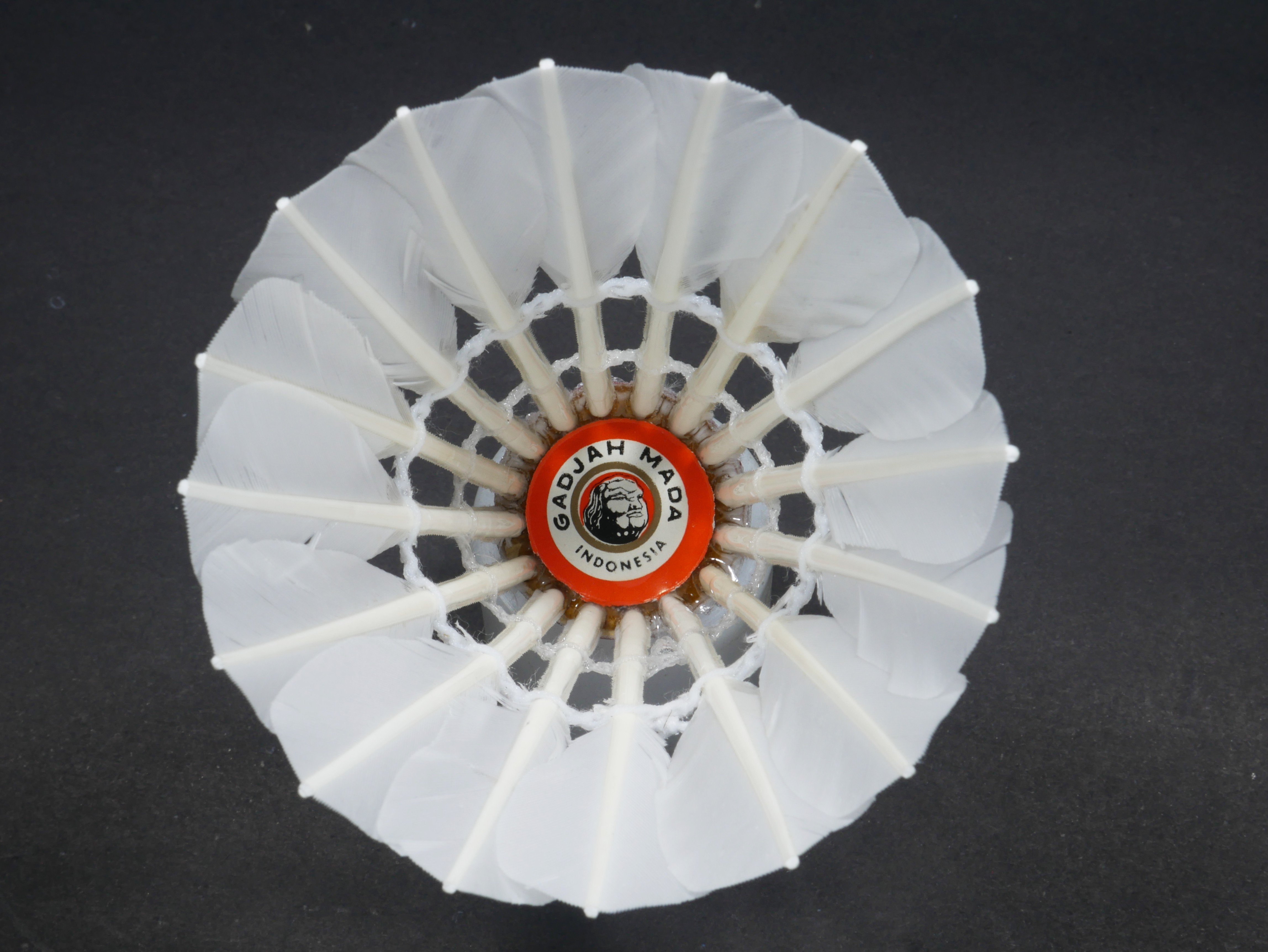 Gadjah Mada Shuttlecock