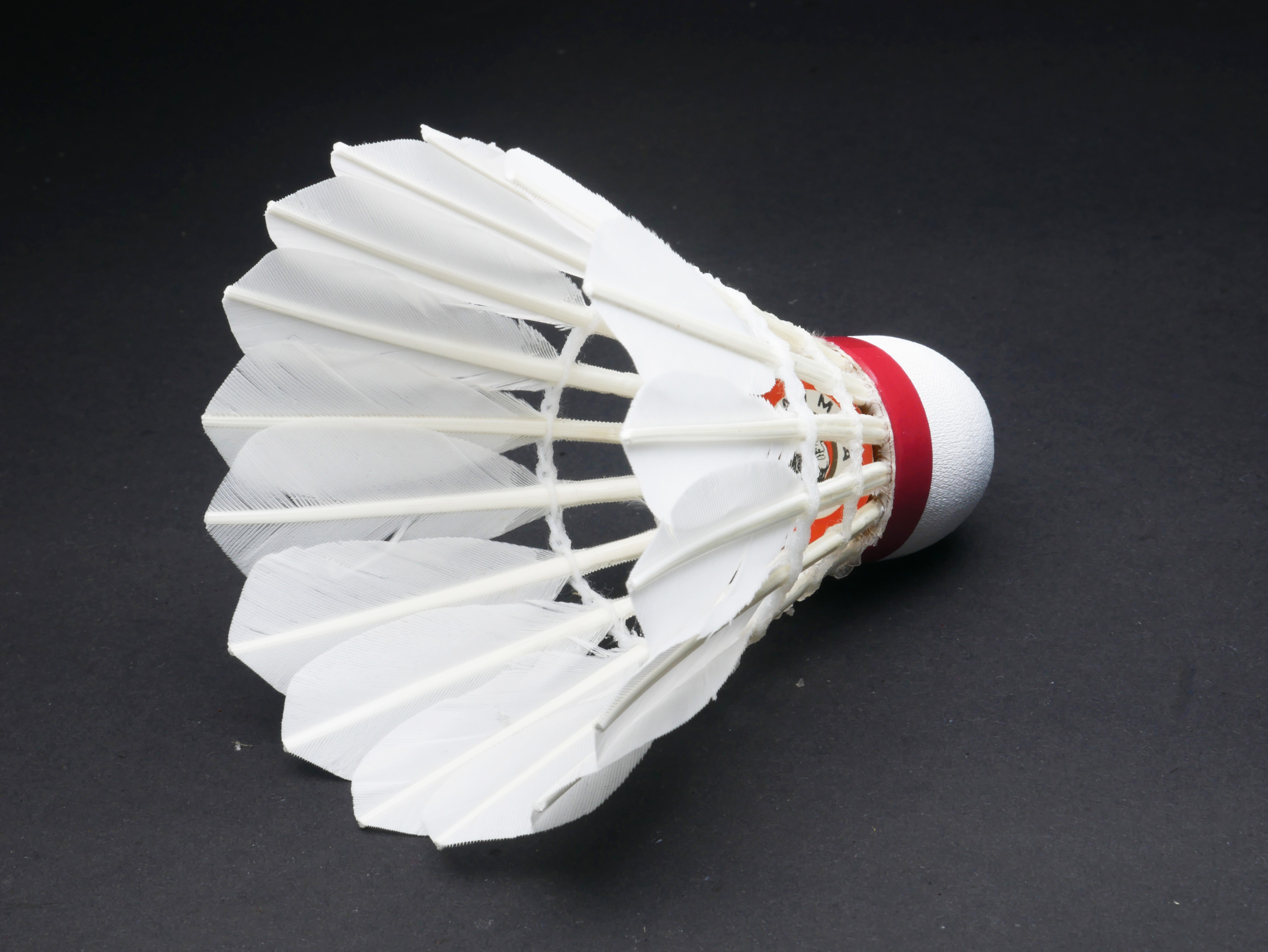 Gadjah Mada Shuttlecock
